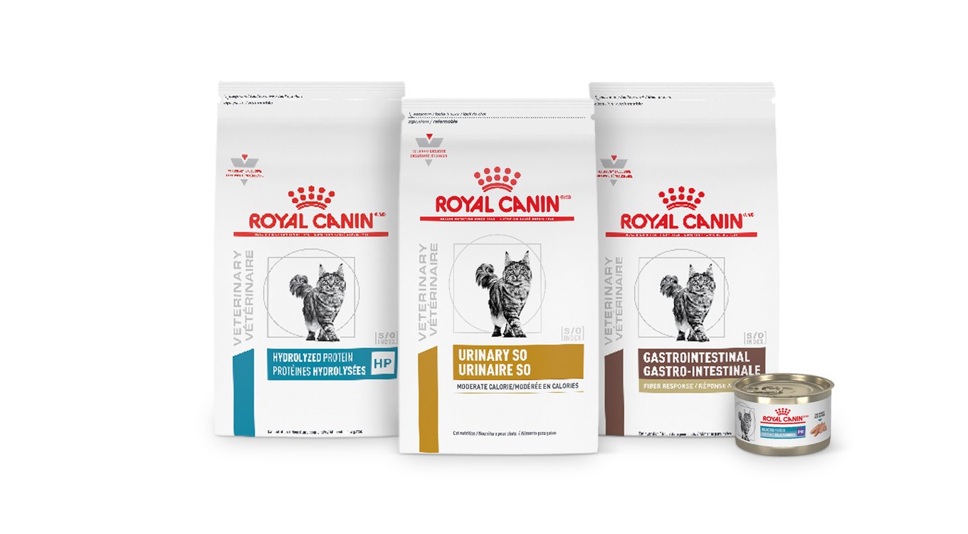 ROYAL CANIN VETERINARY DIET Multifunction Urinary SO + Calm Dry Cat ...