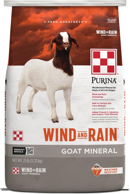 Goat Supplies & Accessories | Chewy