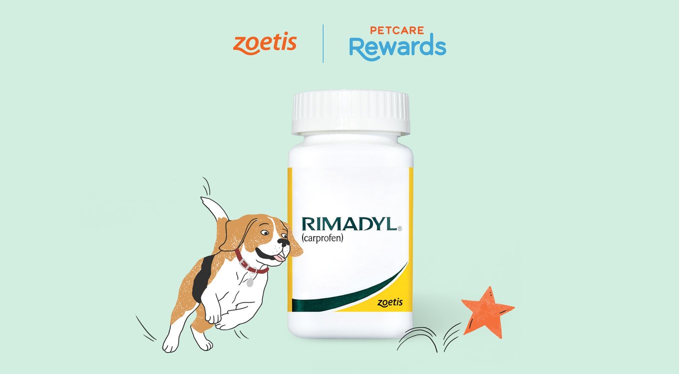 RIMADYL (carprofen) Chewable Tablets for Dogs, 100-mg, 1 tablet - Easy ...