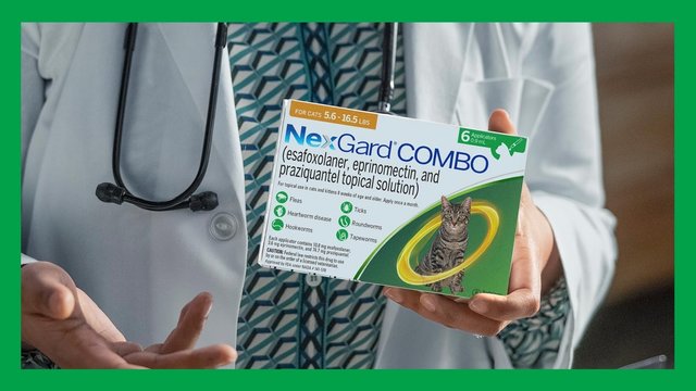 NexGard COMBO - Free shipping | Chewy