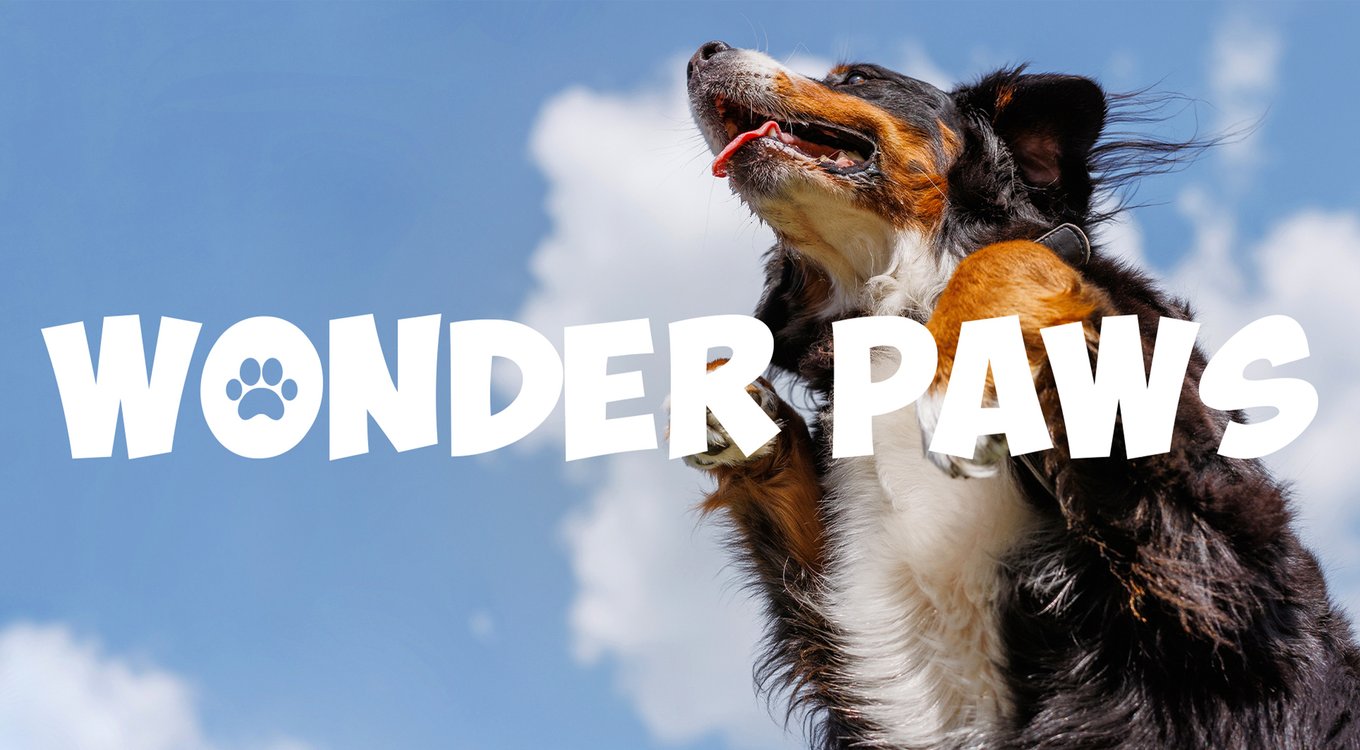 WONDER PAWS Fish Oil Skin, Joint, Immune & Heart Health Liquid ...