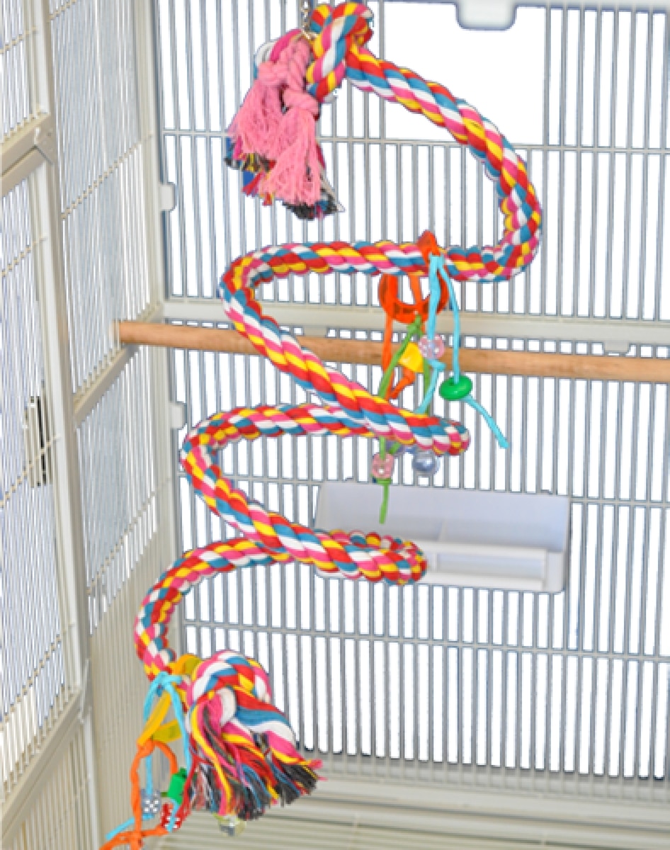 A&E CAGE COMPANY FANCY Rainbow Cotton Rope Boing with Bell Bird Toy ...