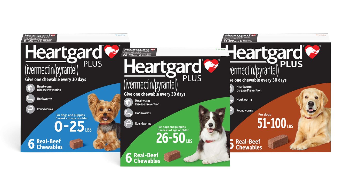 HEARTGARD Plus Chew for Dogs, up to 25 lbs, (Blue Box) - Easy Refills ...