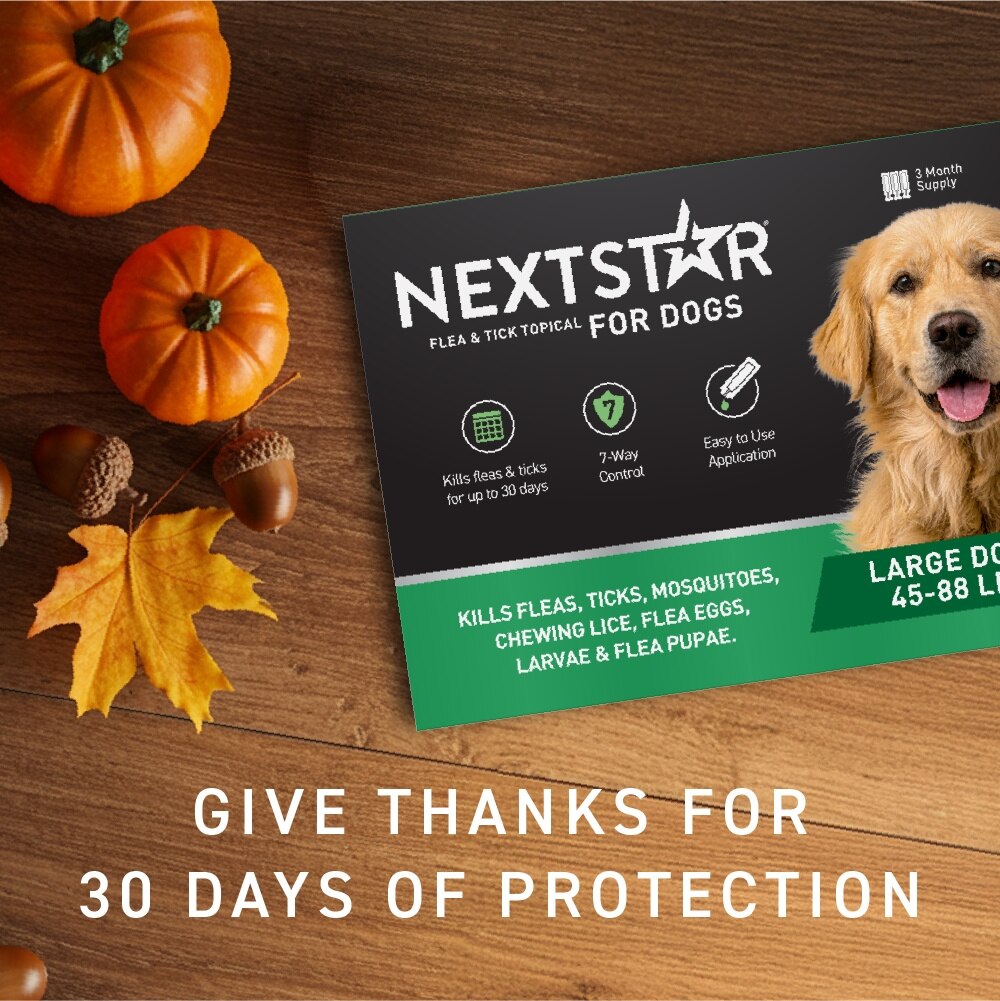 NEXTSTAR Flea & Tick Topical Treatment for Large Dogs, 45-88 lbs, 9 ...
