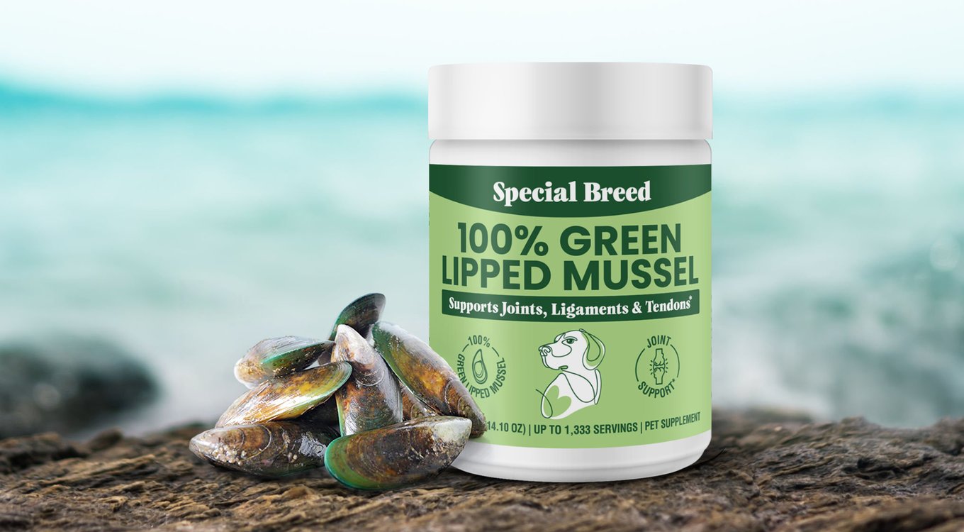SPECIAL BREED Green Lipped Mussel Powder Joint Supplement for Dogs ...