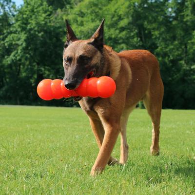 RUFF DAWG Dawg-Buster Tough Dog Chew Toy, Green, X-Large - Chewy.com