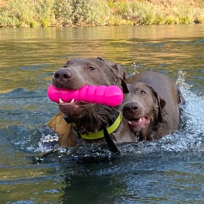 RUFF DAWG Dawg-Buster Tough Dog Chew Toy, Pink, Small - Chewy.com