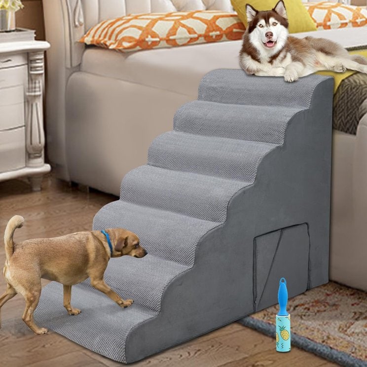 Dog Ramps & Stairs – Pet Steps for Bed, Couch & More | Chewy
