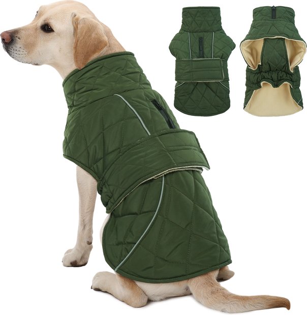 Dog Coats: Jackets, Winter Coats & Raincoats (Free Shipping) | Chewy