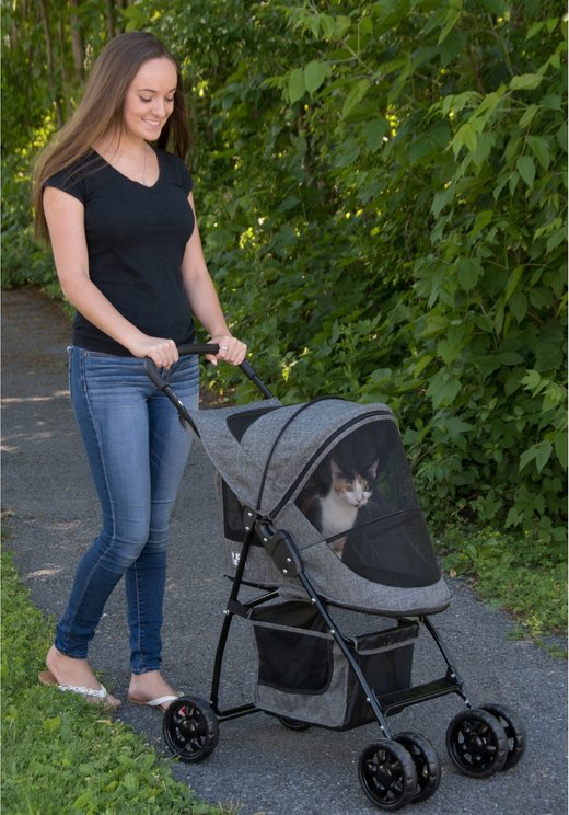 Dog Strollers: Small to Large Breeds, Low Prices (Free Shipping) | Chewy