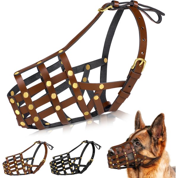 COLLARDIRECT German Shepherd Leather Dog Muzzle, Grey, Medium - Chewy.com