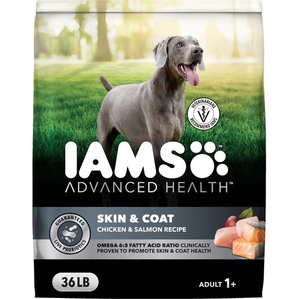 IAMS Advanced Health Skin & Coat Chicken & Salmon Recipe Adult Dry Dog ...