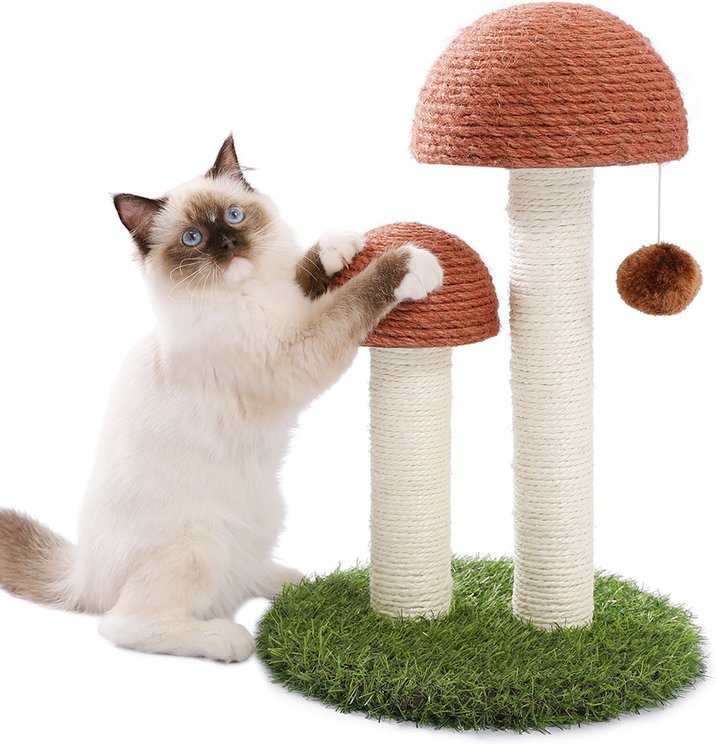 Cat Scratching Posts - Free shipping | Chewy