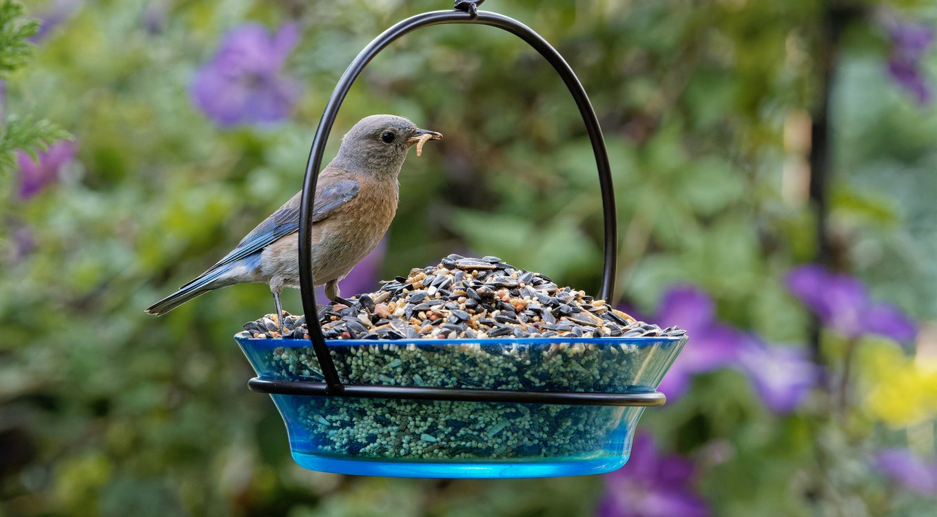 HARVEST SEED & SUPPLY Hot Pepper Snack Stack Wild Bird Food, 9-oz cake ...