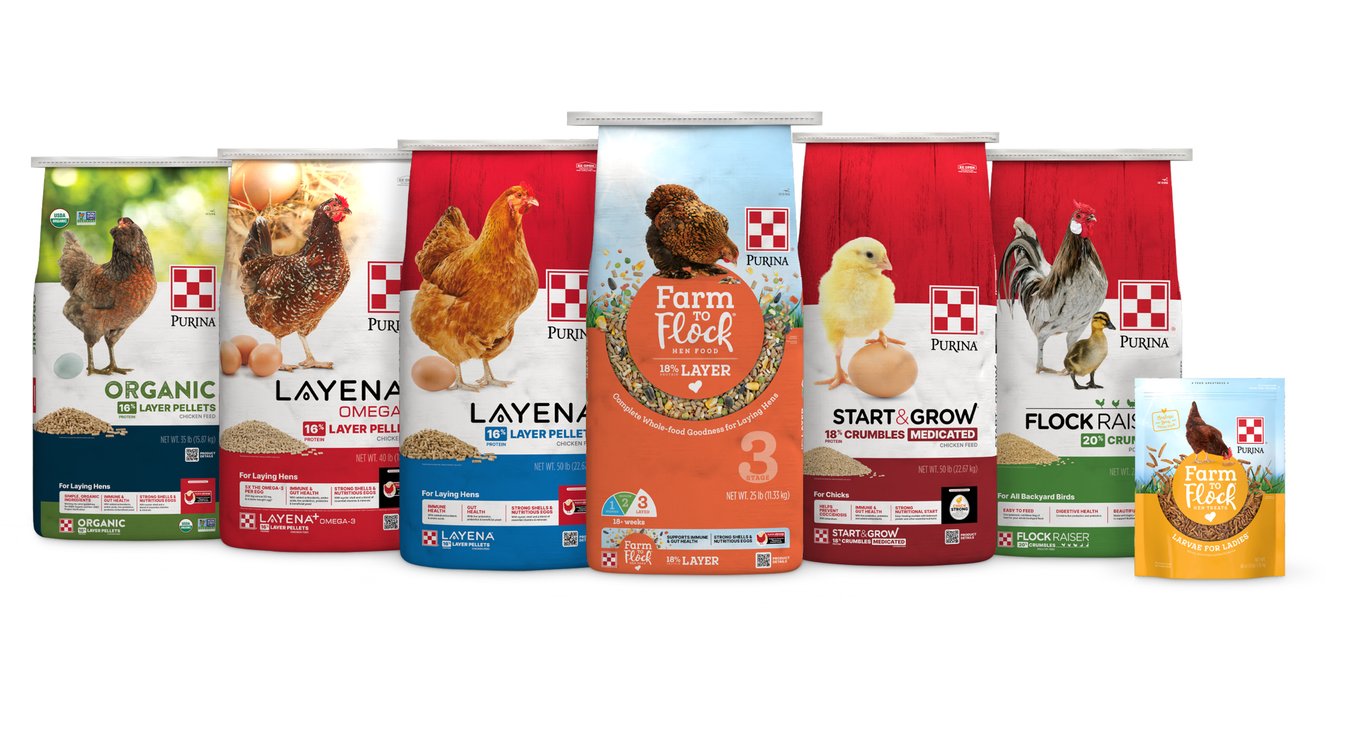 Purina Farm to Flock Protein Poultry Block, 20-lb block - Chewy.com