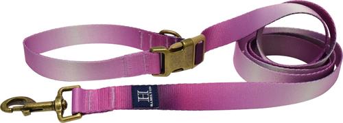 HAMILTON Recycled Webbing Adjustable Dog Leash, Raspberry Ombre, Medium ...