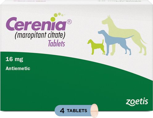 Dog Anxiety Medication: Anti-Anxiety Meds for Dogs (Ships Free) | Chewy RX