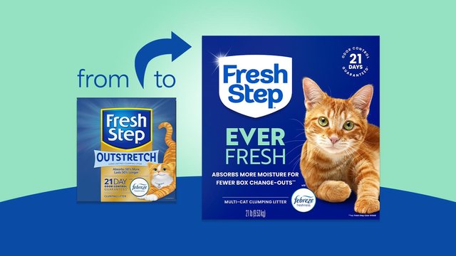 Fresh Step - Free shipping | Chewy
