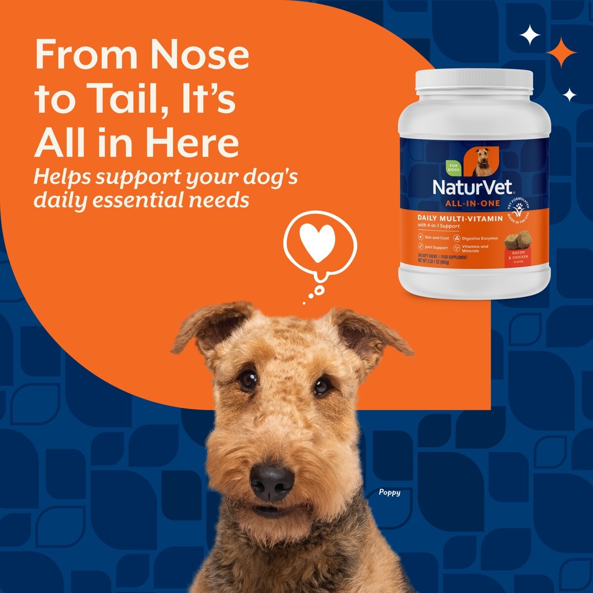 NATURVET All-in-One Soft Chews Multivitamin for Dogs, 240 count - Chewy.com