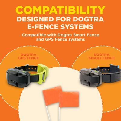 DOGTRA Dog Training Flags Boundary Fence, Orange, 50 count - Chewy.com
