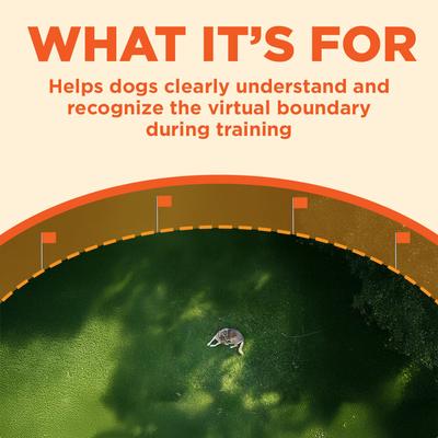 DOGTRA Dog Training Flags Boundary Fence, Orange, 50 count - Chewy.com