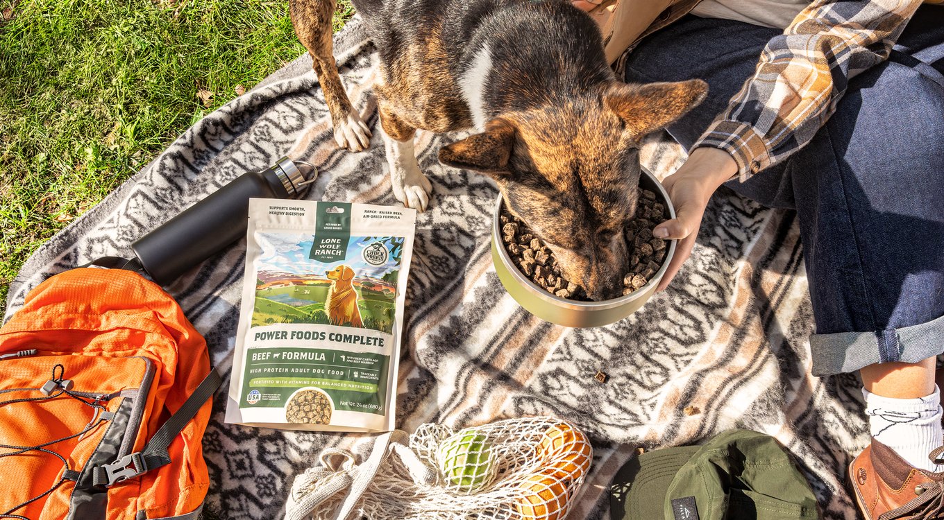 LONE WOLF RANCH Power Foods Complete Beef Air-Dried Dog Food, 24-oz bag ...