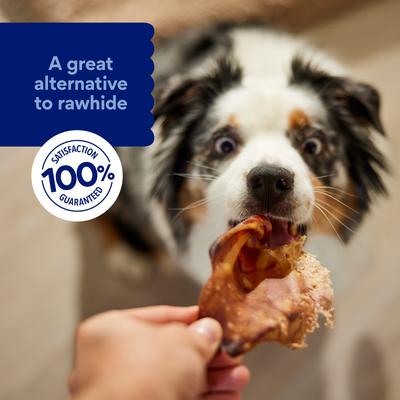 CHEWY MADE Pig Ear Chews Dog Treats (FORMERLY BONES & CHEWS), 20 count ...