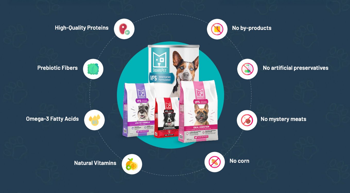 SQUAREPET VFS Low Phosphorus Formula Dry Dog Food, 4.4-lb bag - Chewy.com