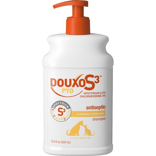 10 Best Dog Shampoos 2026: According to Reviews | Chewy