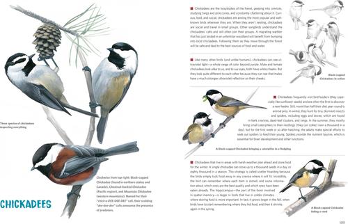 What It's Like to Be a Bird Adapted for Young Readers - Chewy.com