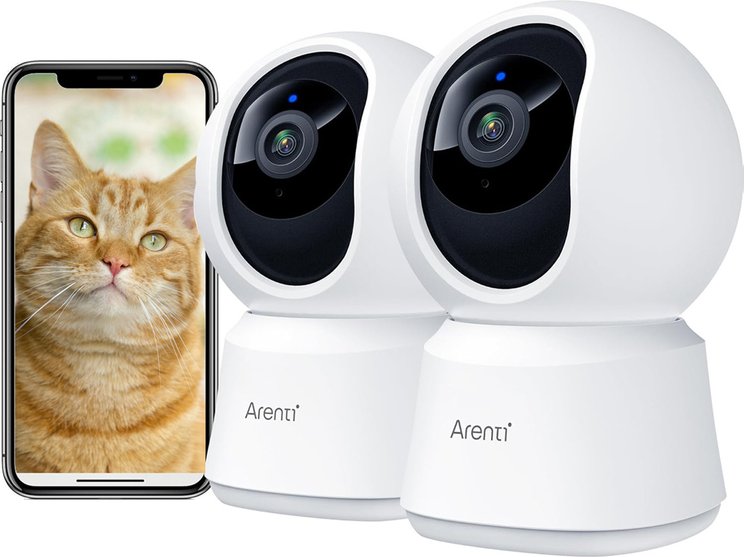 Dog Cameras & Monitors: Wi-Fi, Video & More (Free Shipping) | Chewy