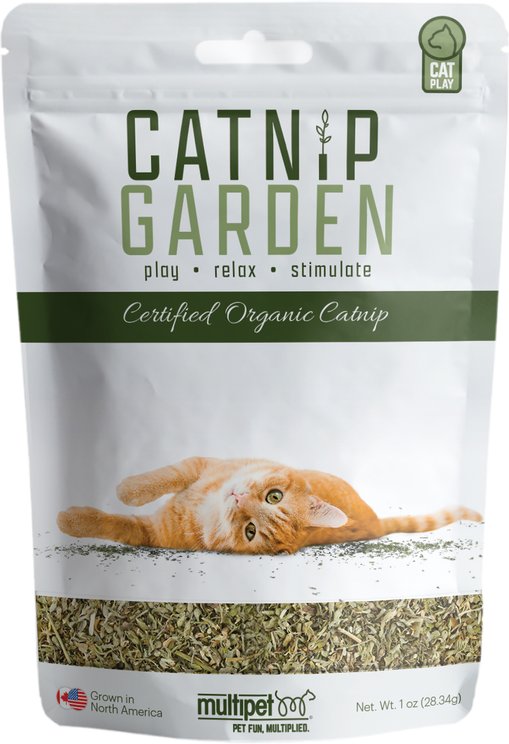 Catnip - Free Shipping | Chewy