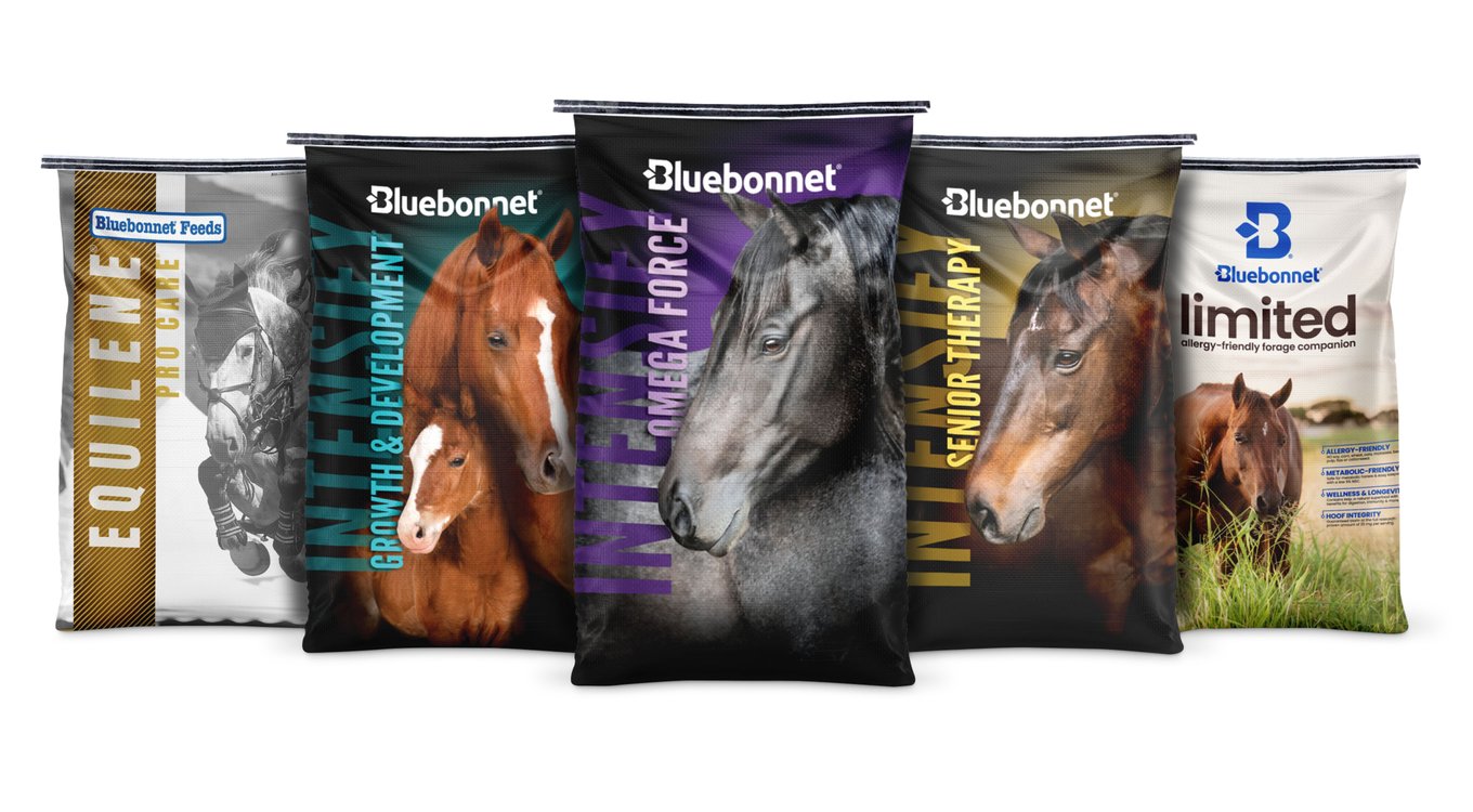 BLUEBONNET FEEDS Intensify Omega Force High Protein, Low Starch Horse ...