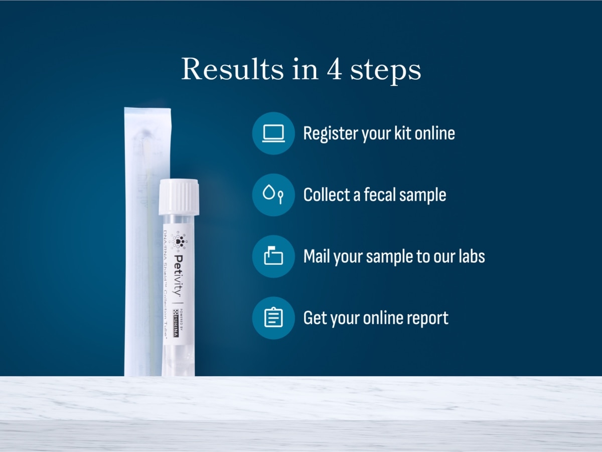 PURINA PETIVITY Microbiome Basic Gut Profile Analysis Kit for Cats ...