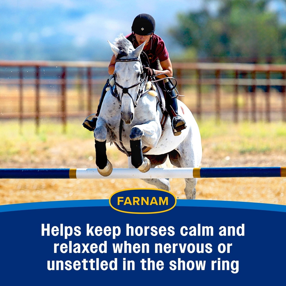 Out of Stock - FARNAM Quietex Show Pellets Horse Supplement, 3.75-lb ...