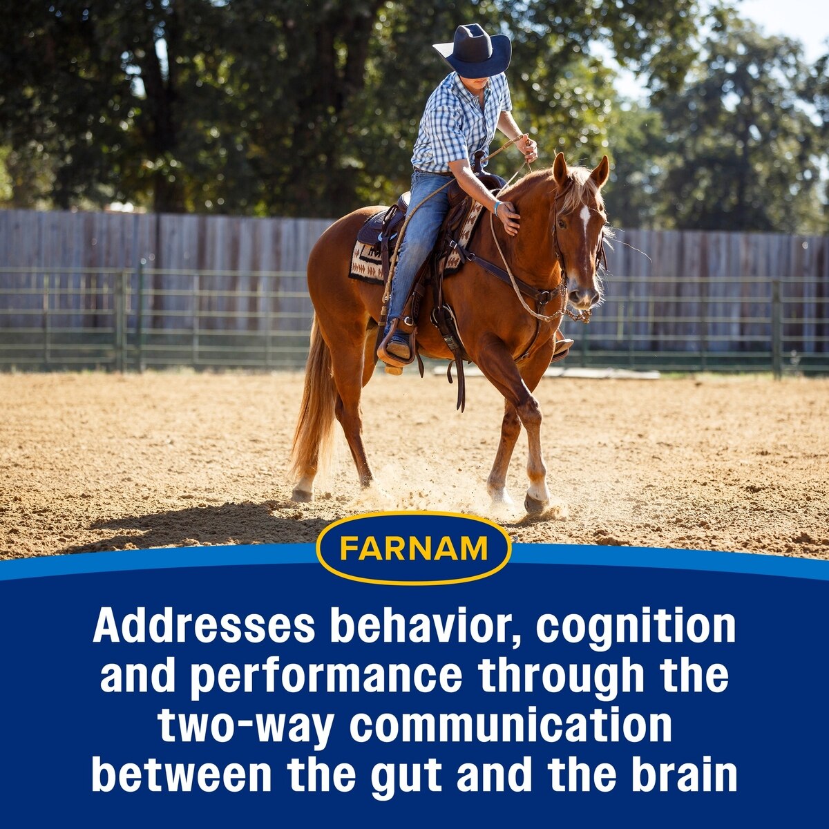 Out of Stock - FARNAM Quietex Show Pellets Horse Supplement, 3.75-lb ...