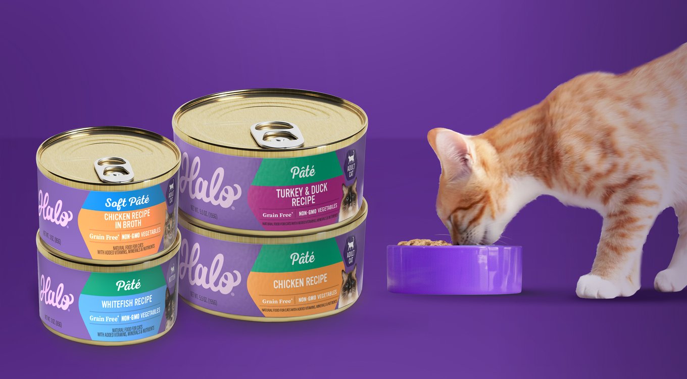 HALO Turkey & Duck Recipe Pate Grain-Free Indoor Cat Canned Cat Food, 5 ...