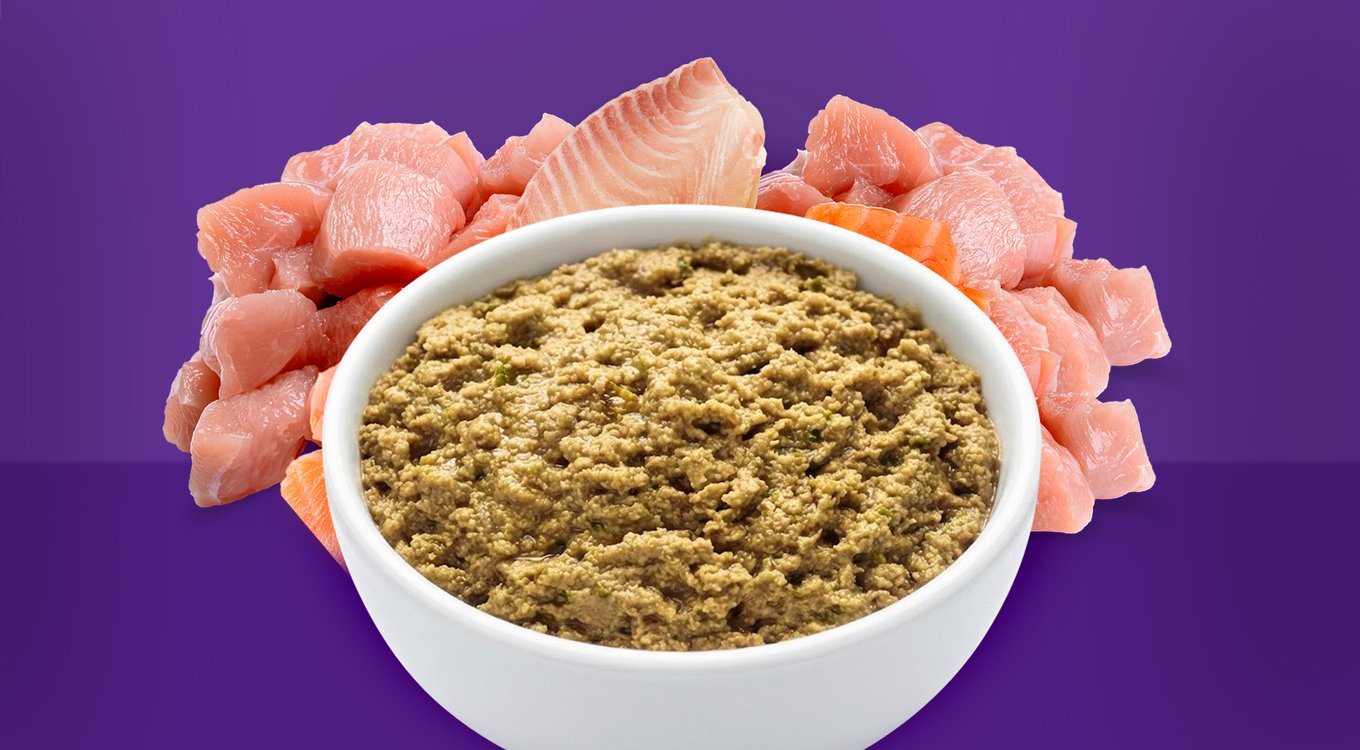 HALO Turkey & Duck Recipe Pate Grain-Free Indoor Cat Canned Cat Food, 5 ...