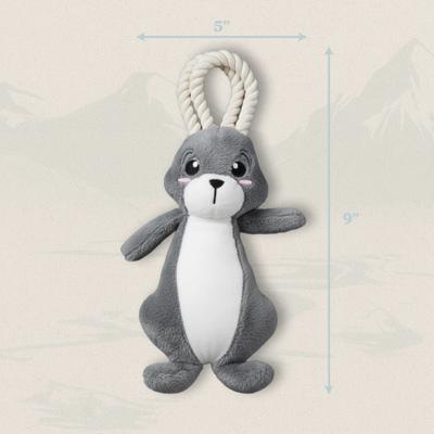 GRRREEN Arctic Hare with Rope Squeaky Plush Dog Toy, Small - Chewy.com