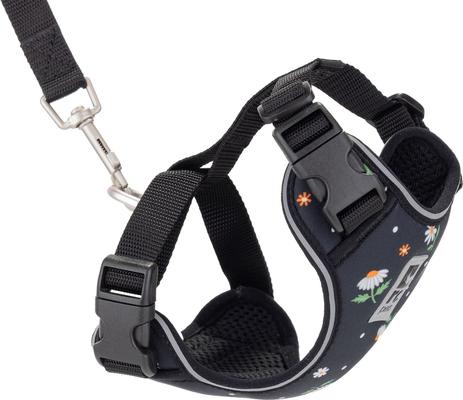 Out of Stock - RC PETS Adventure Kitty Reflective Cat Harness & Leash ...