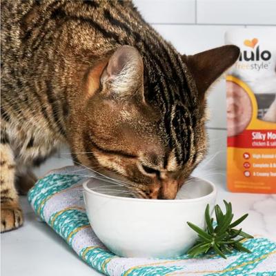 NULO Freestyle Silky Mousse Chicken & Salmon Recipe Grain-Free Wet Cat ...