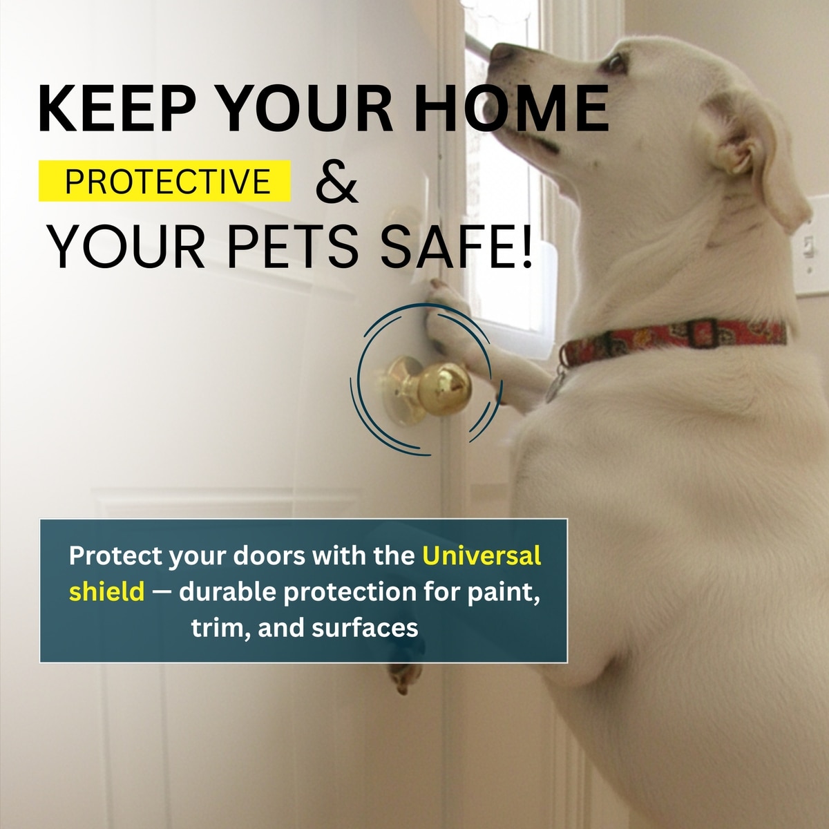 CLAWGUARD Clear Surface Universal Scratch Shield Protector for Doors ...