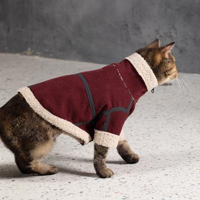 PEBOT Koda "Kord" Dog & Cat Jacket Vest, Burgundy, 8 - Chewy.com