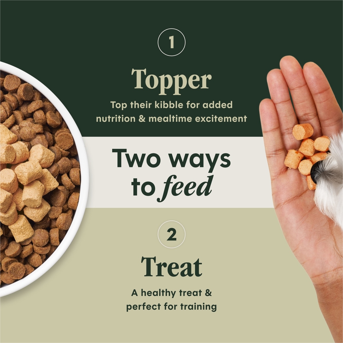 INSTINCT RawBoost Mixers Gut Health Recipe Grain-Free Freeze-Dried Dog ...