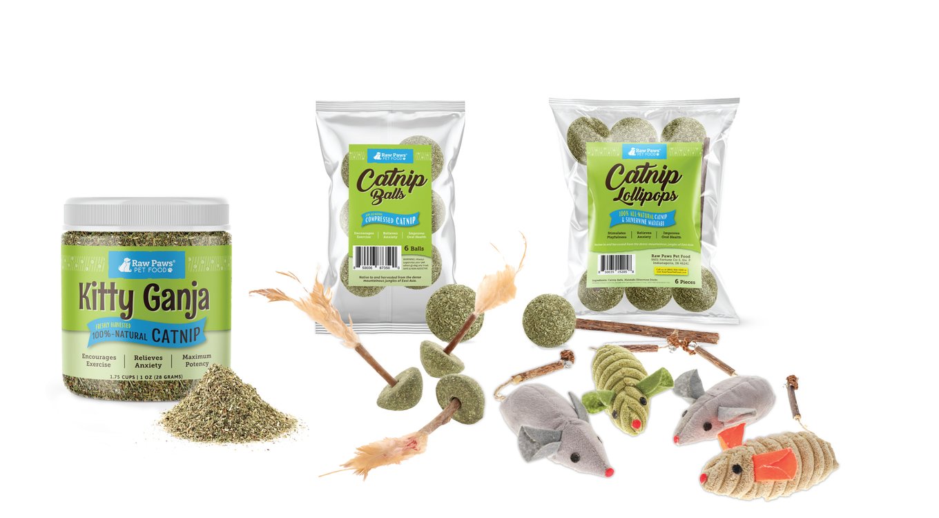 RAW PAWS Natural Catnip Interactive Cat Ball Toy, 6 count - Chewy.com