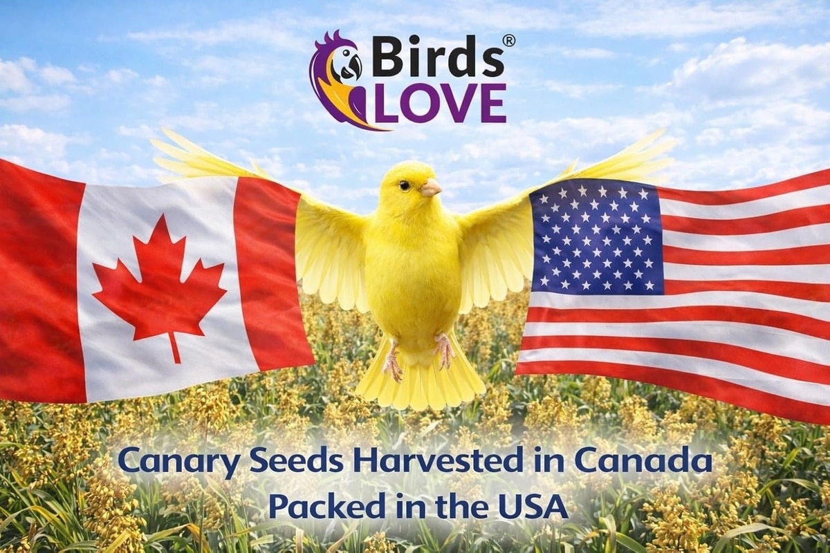 BIRDS LOVE Alpiste Canary Seed Non-GMO Double Cleaned Bird Food, 5-lb ...