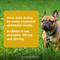 SIMPLICEF (Cefpodoxime Proxetil) Tablets for Dogs, 200-mg - Easy ...