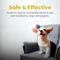 SIMPLICEF (Cefpodoxime Proxetil) Tablets for Dogs, 200-mg - Easy ...