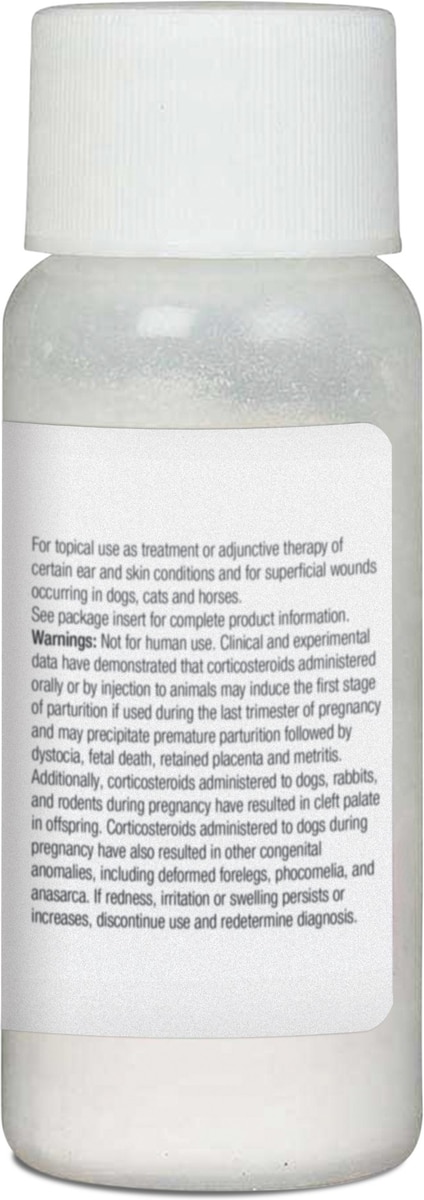 NEO-PREDEF with Tetracaine Topical Powder for Dogs, Cats & Horses, 15 ...