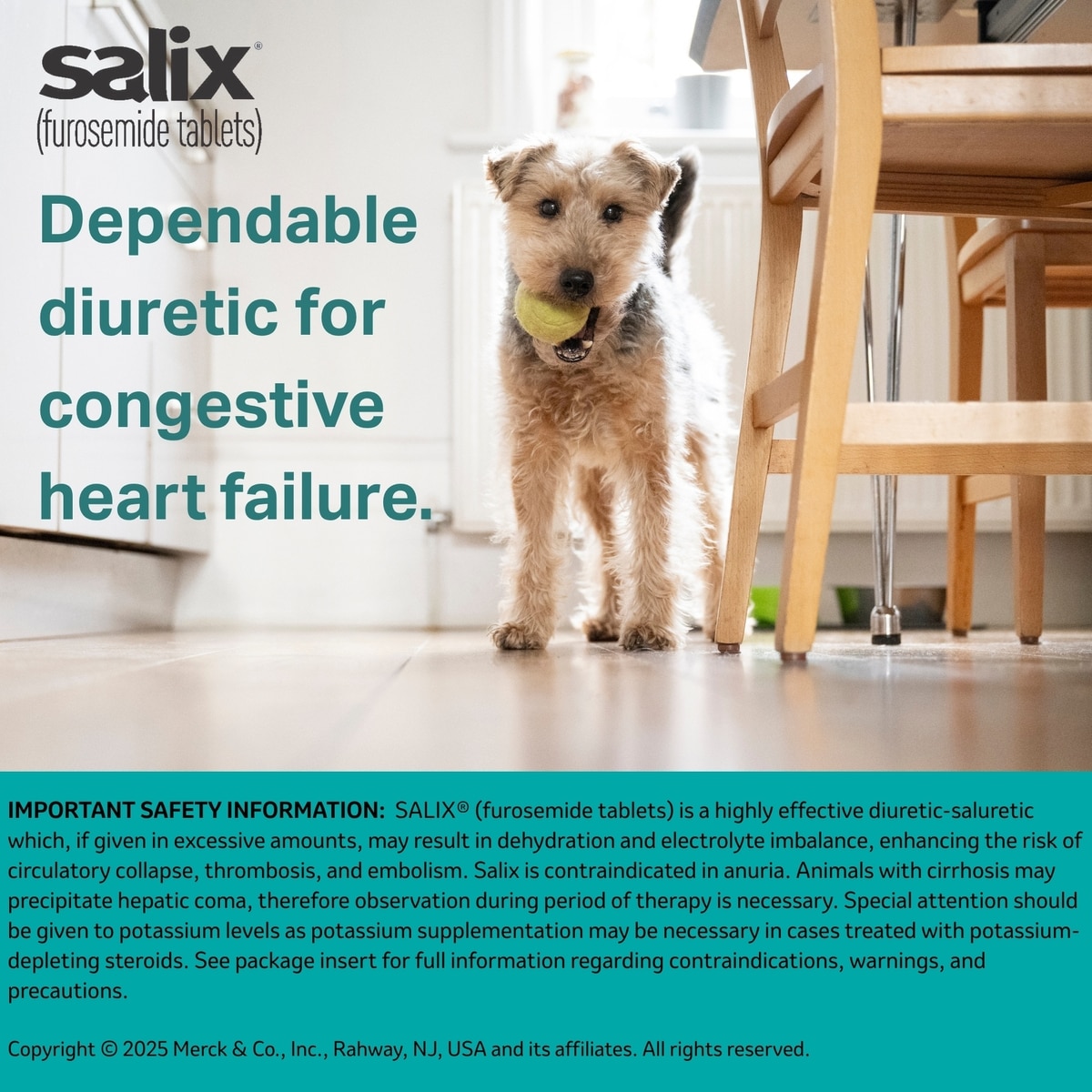 SALIX (Furosemide) Tablets for Dogs & Cats, 12.5-mg - Easy Refills ...